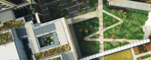 Bendigo Hospital - Bendigo, VIC (Australia) - BrasAussie Design
